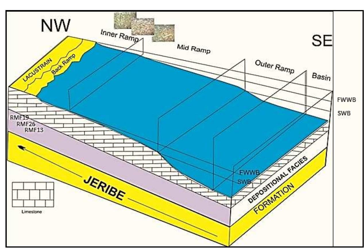 Schematic block diagram representing the ramp depositional