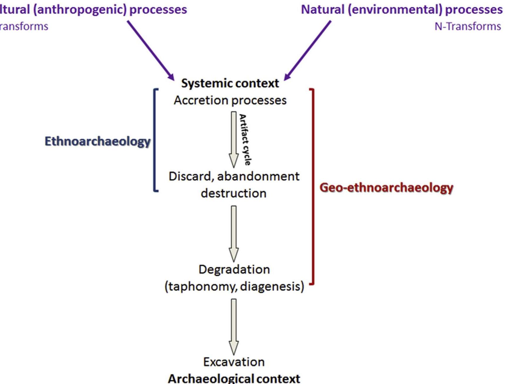 Schematic representation of the formation processes building