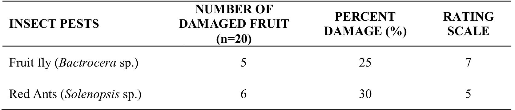 Percent damage and rating scale of insect pests associated