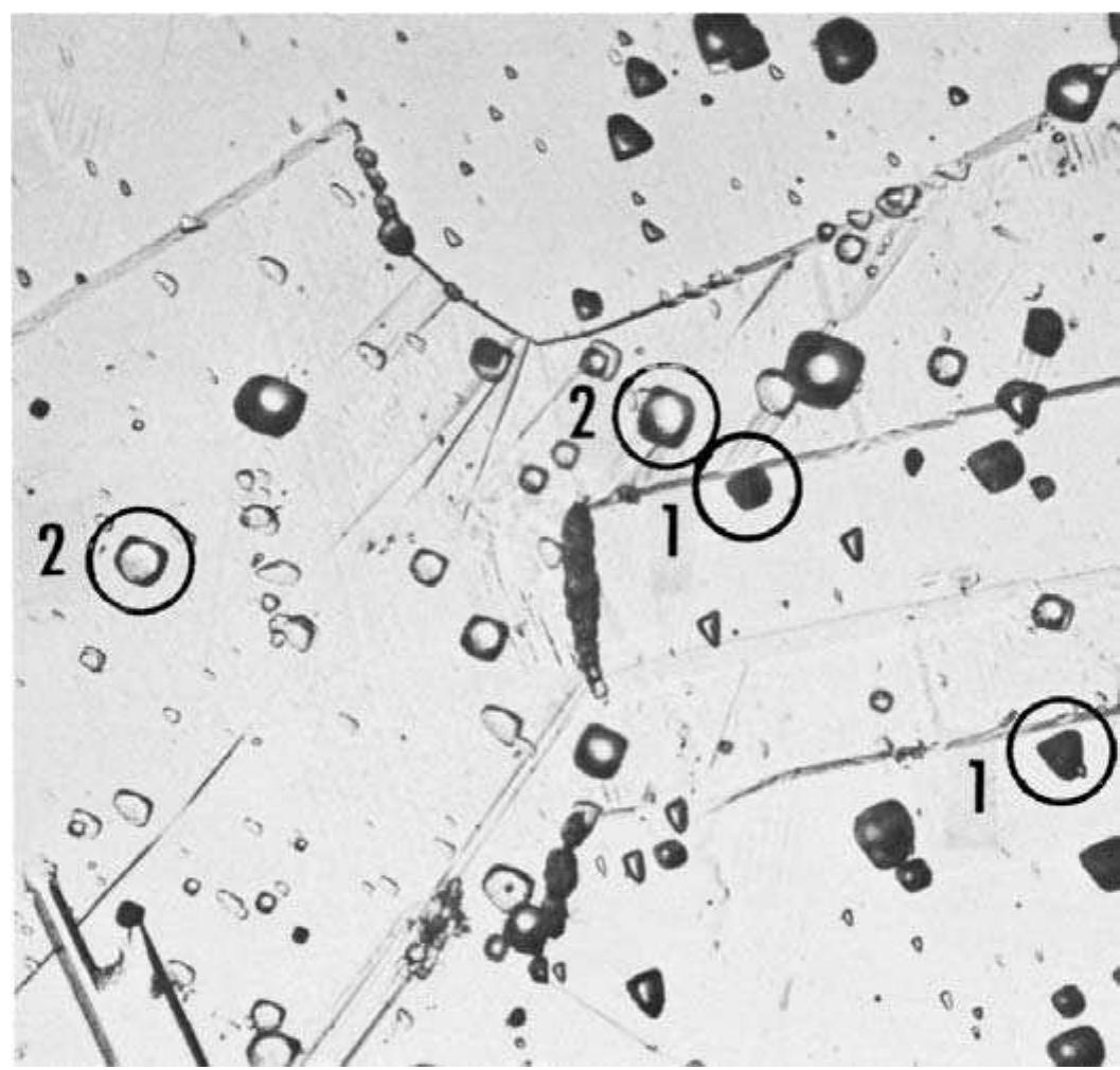 (PDF) Standard Practices for Detecting Susceptibility to Intergranular ...