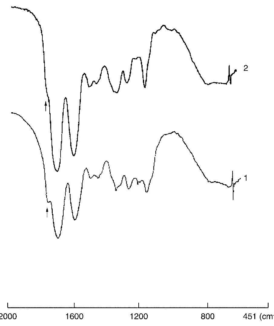 Ft-ir spectra of phg/pegda 20% sample before (/) and after