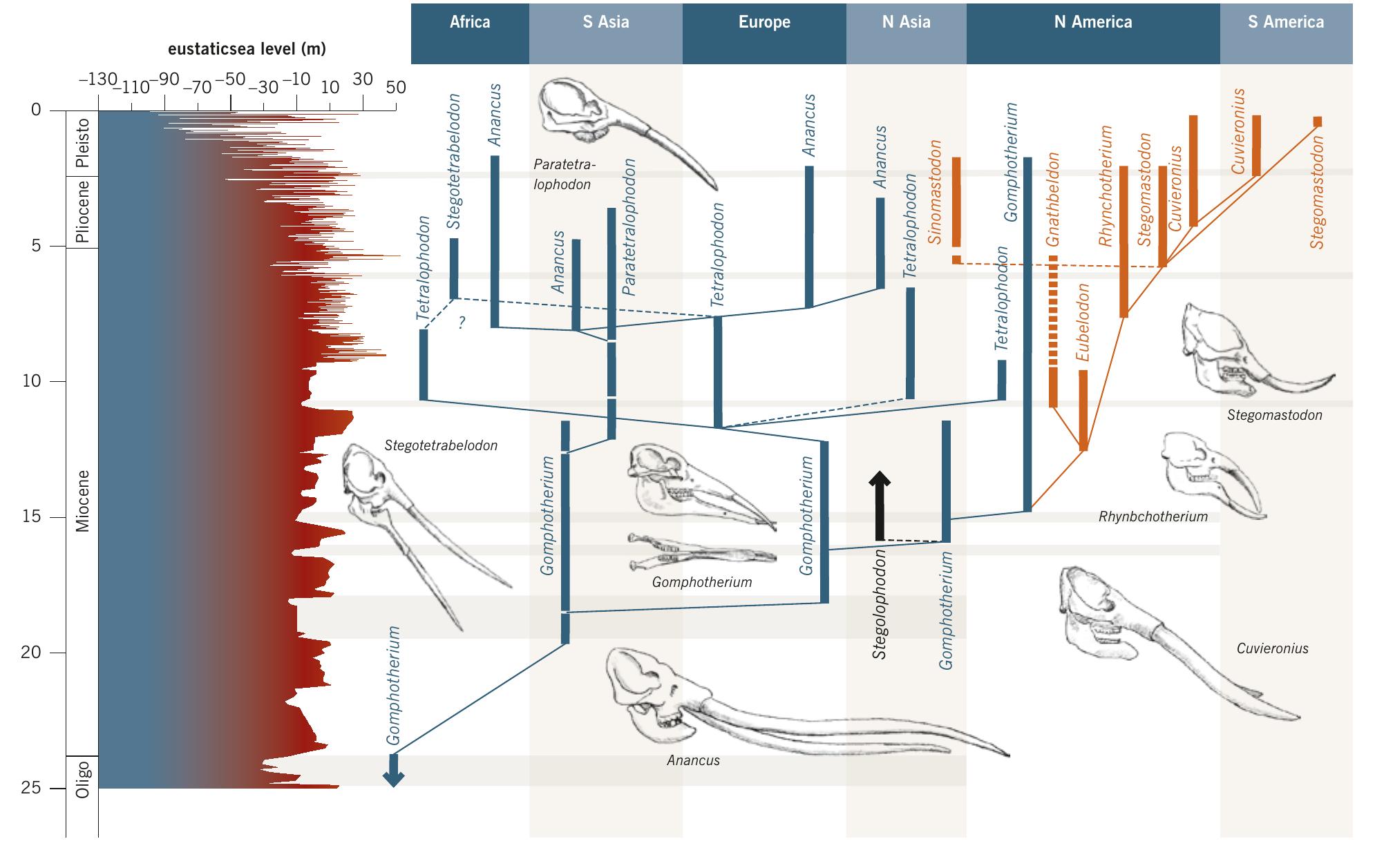 The coincidence of tectonics and this process may have