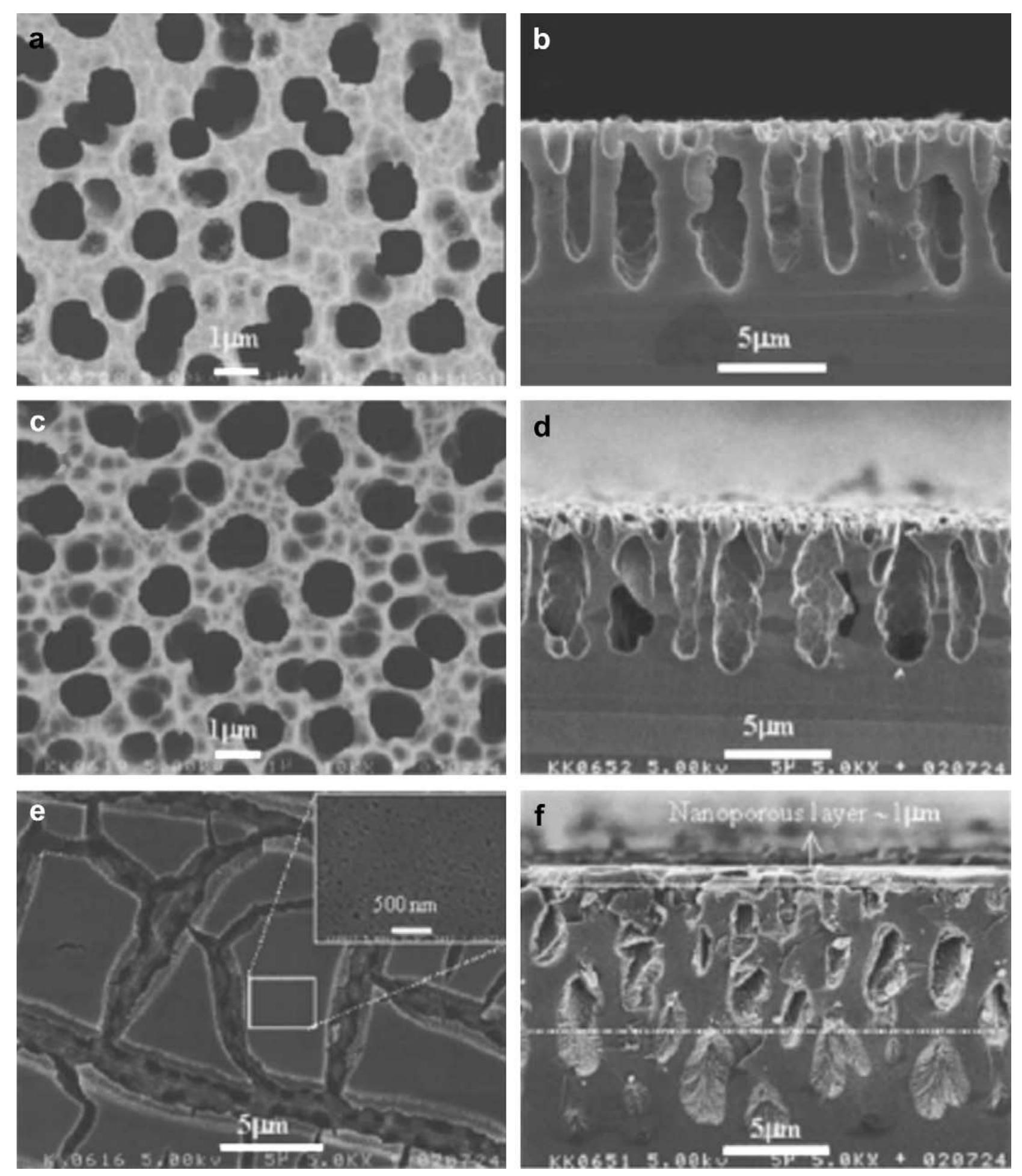 Sem top views (left) and cross-sections (right) of