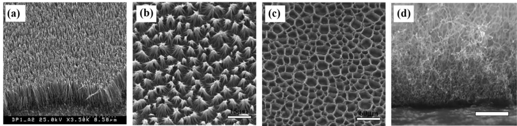 Sem images of various surface architectures of cnts. (a)