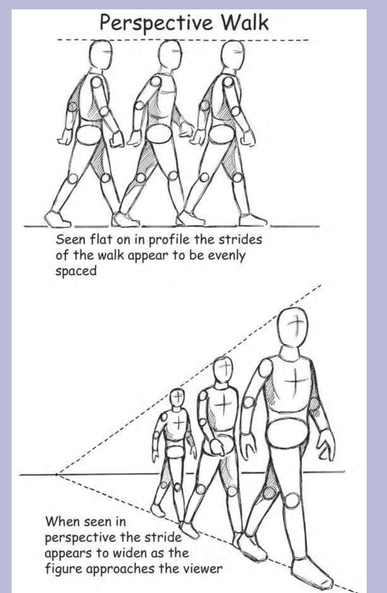 77 in this walk cycle we can see how the stride appears to