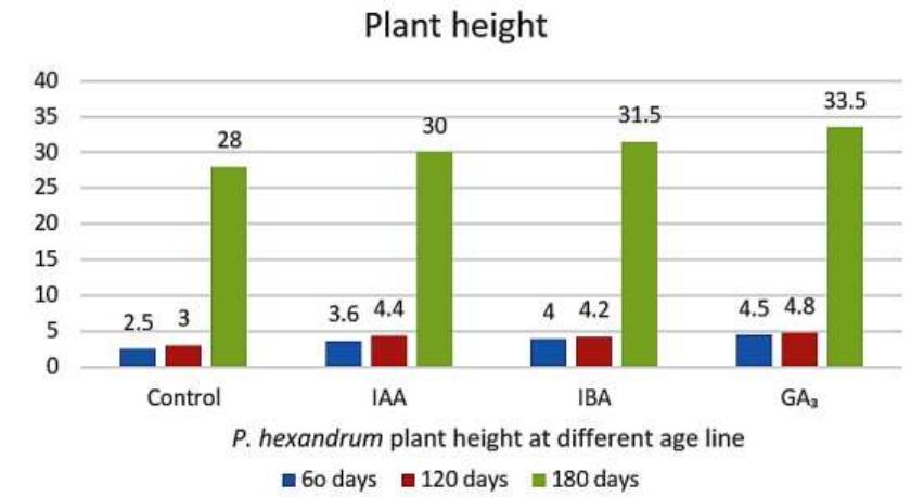 Plant height comparison between treated plants and control.