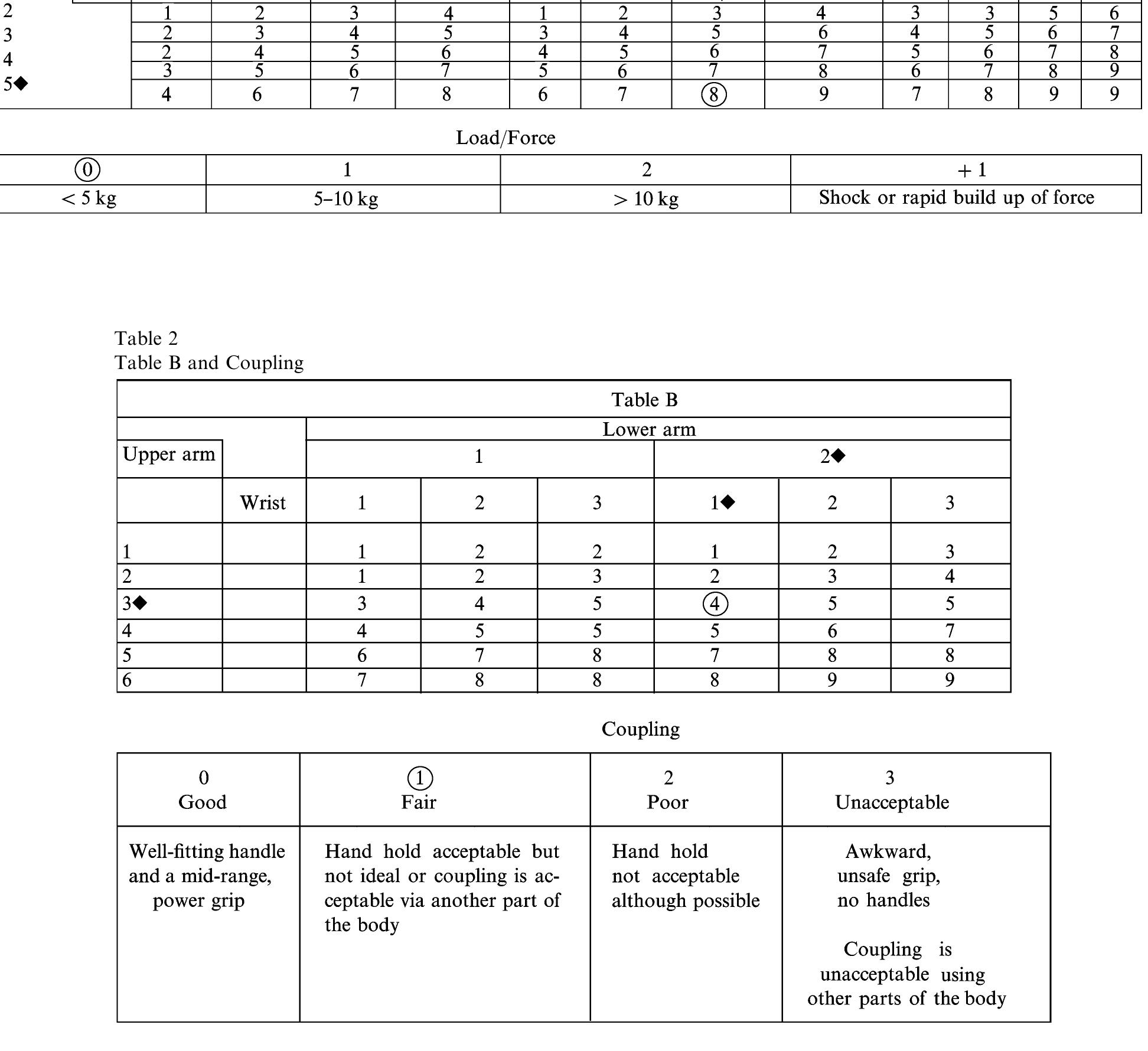 (PDF) Rapid entire body assessment (REBA)