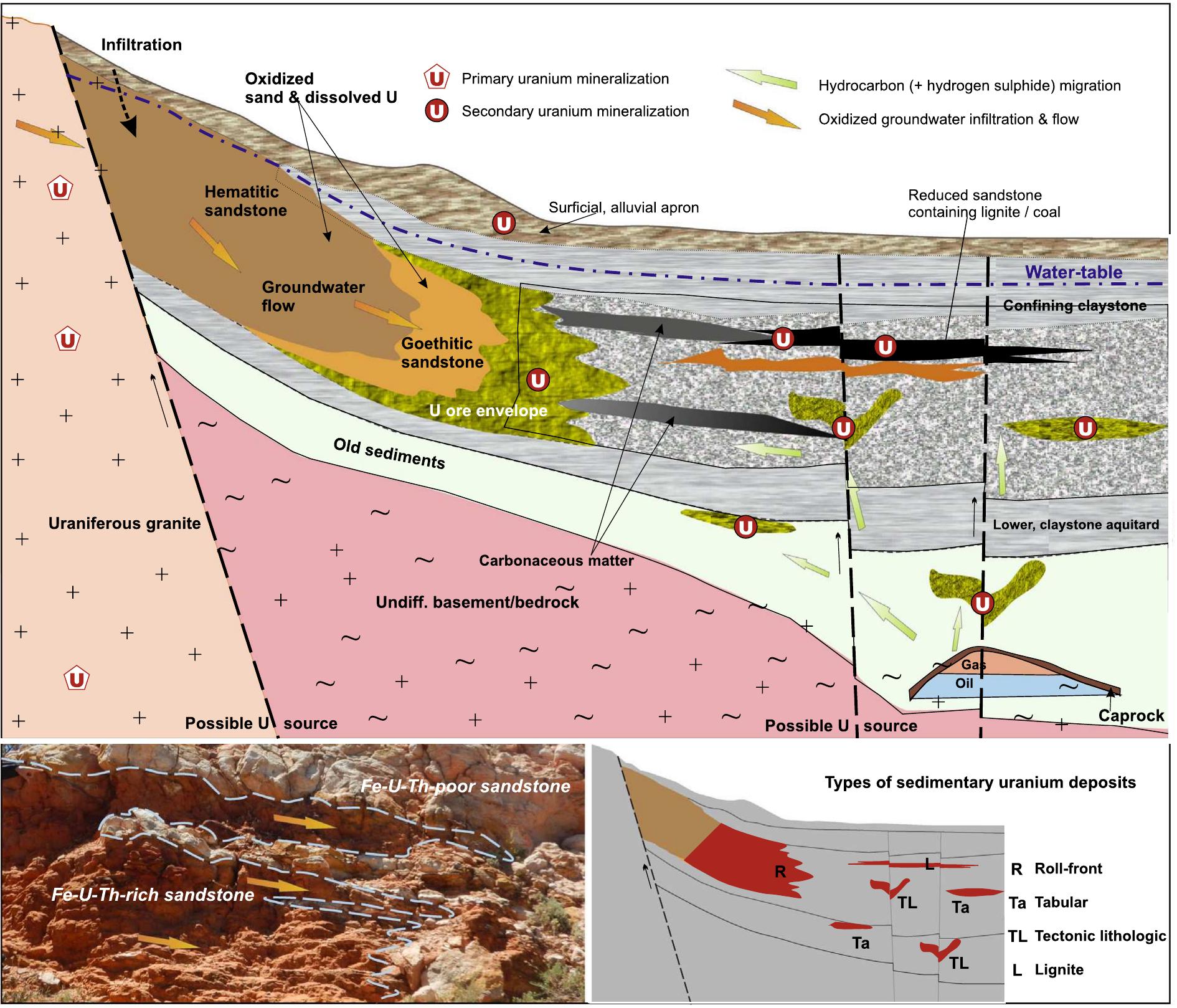 Palinspastic cross-section model for sedimentary uranium
