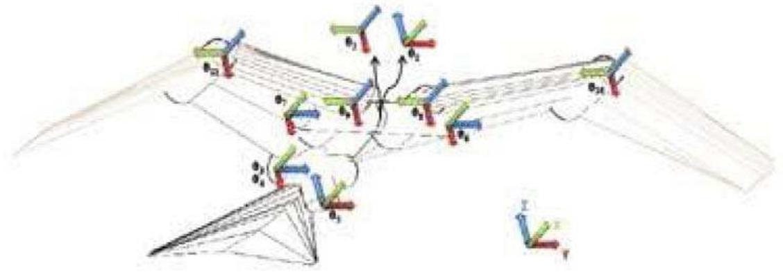 Kinematic structure of the system.