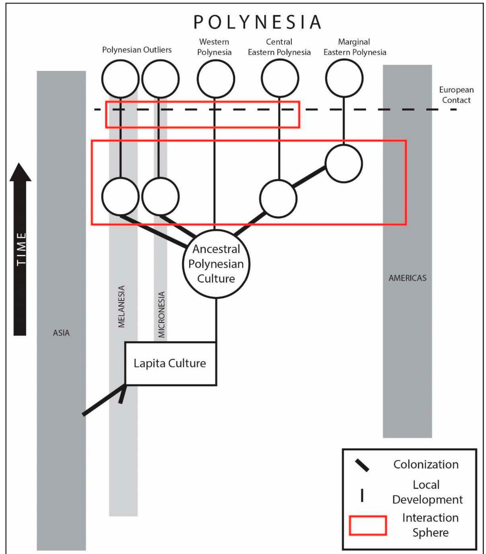 A model of cultural differentiation in polynesia. in this