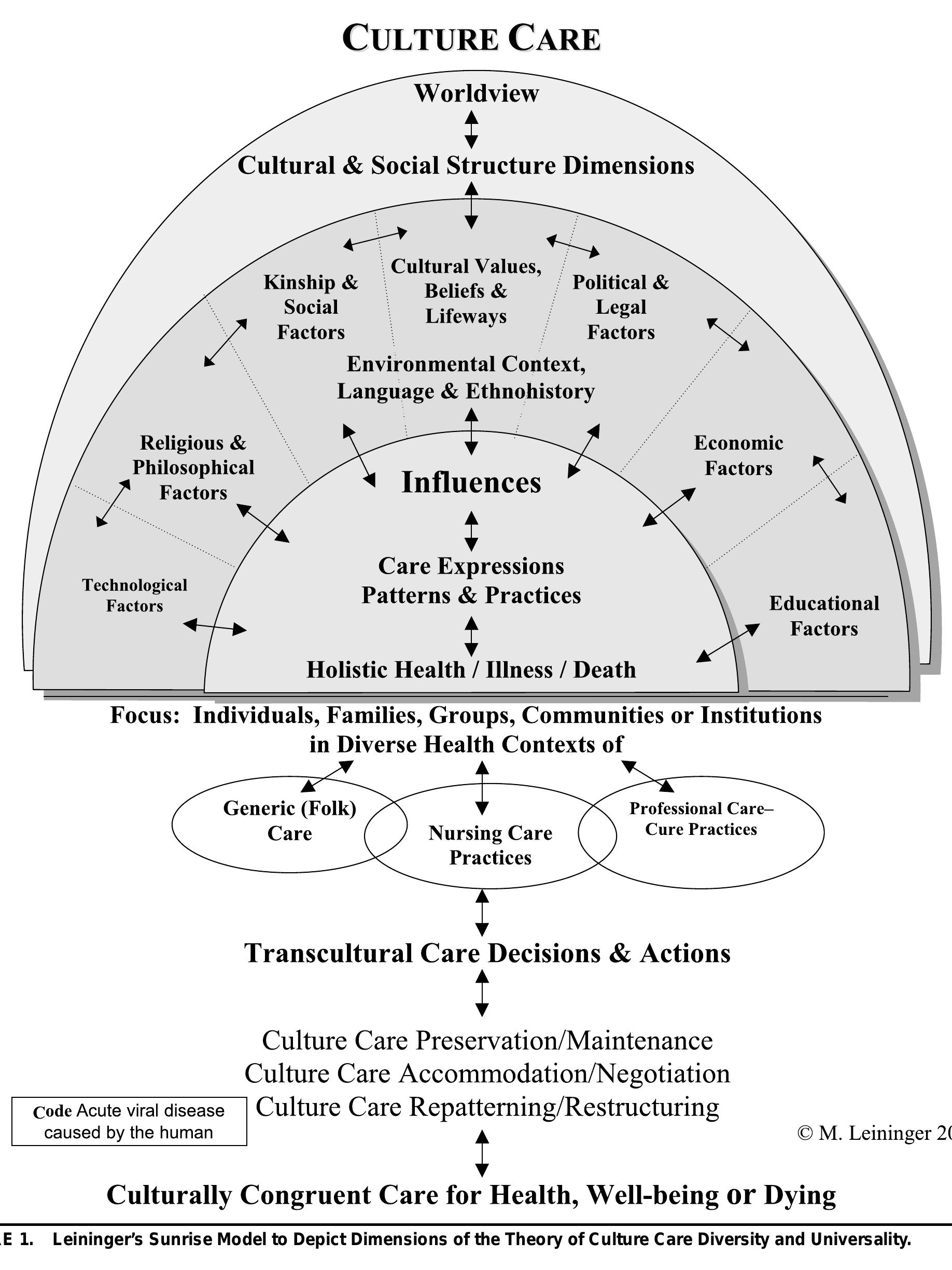 (PDF) Culture Care Theory: A Major Contribution to Advance ...