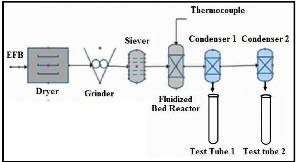 (4) flow diagram process of biomass to bio-oil conversion