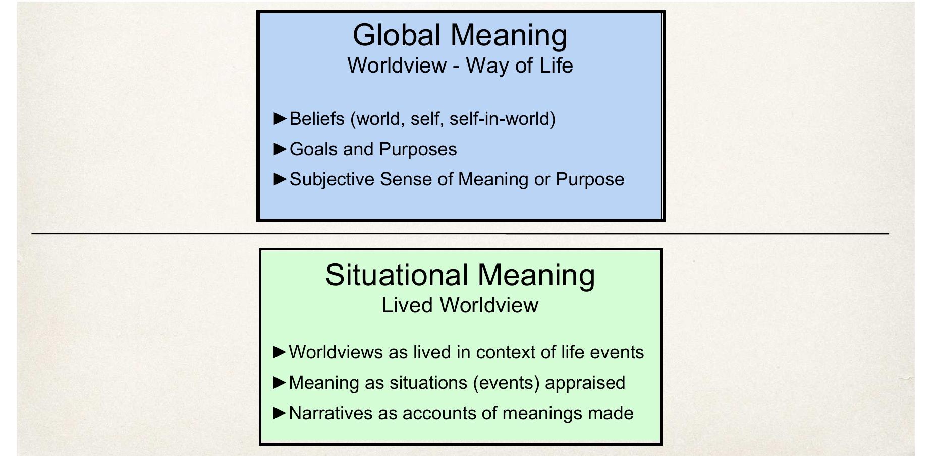 The meaning system framework (adapted from park and folkman