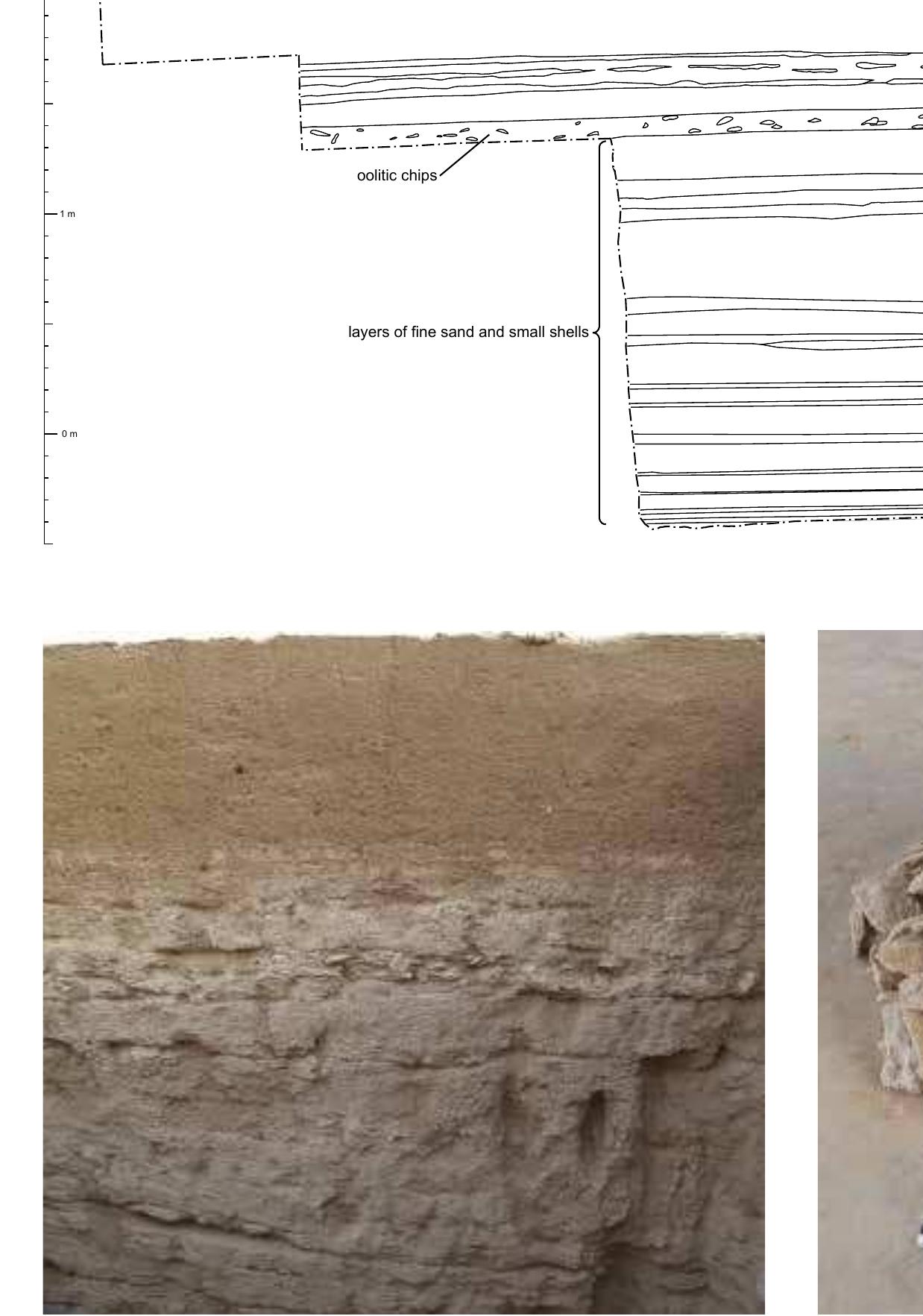 Ne baulk of trench g with layer of oolitic limestone chips