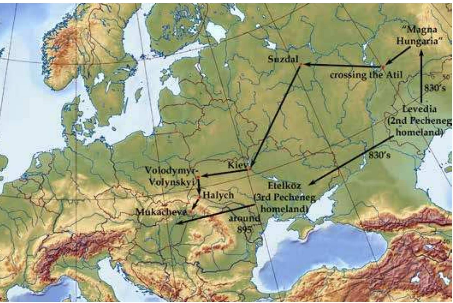 (PDF) Levedia, the egg of Columbus and what follows.pdf