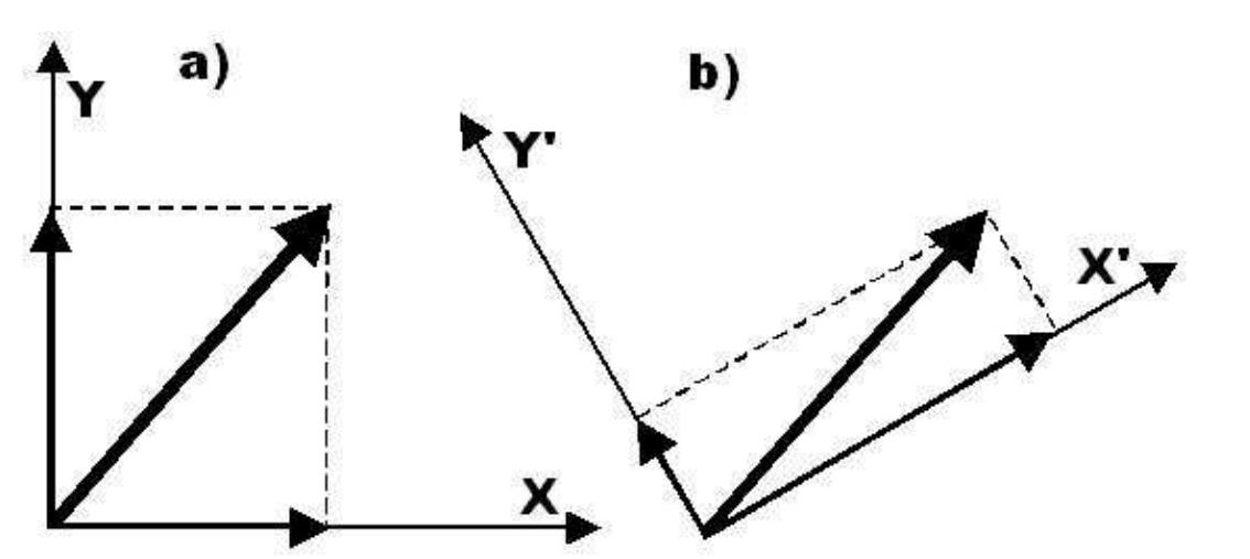 Rotation of cartesian coordinate system. components of