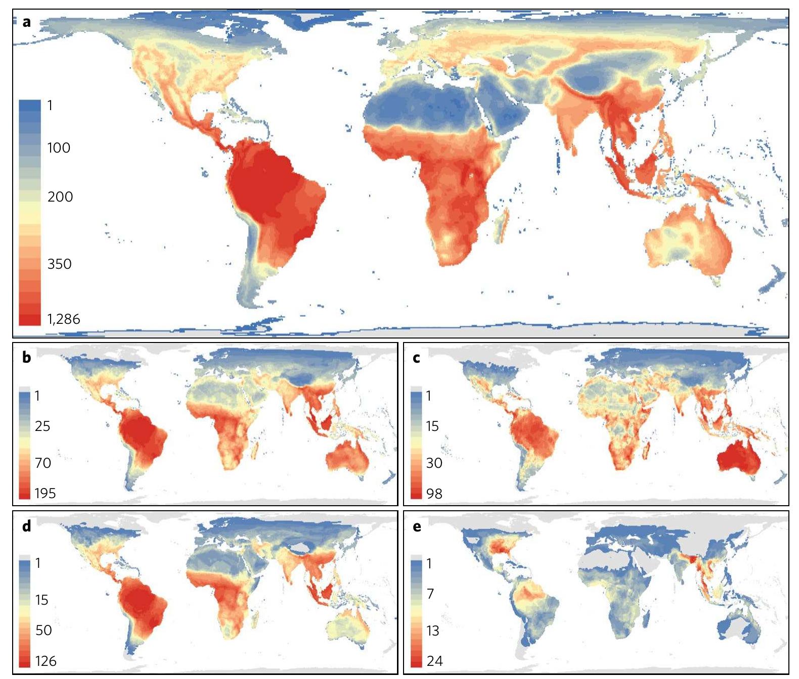 | species richness maps of terrestrial tetrapods. a,