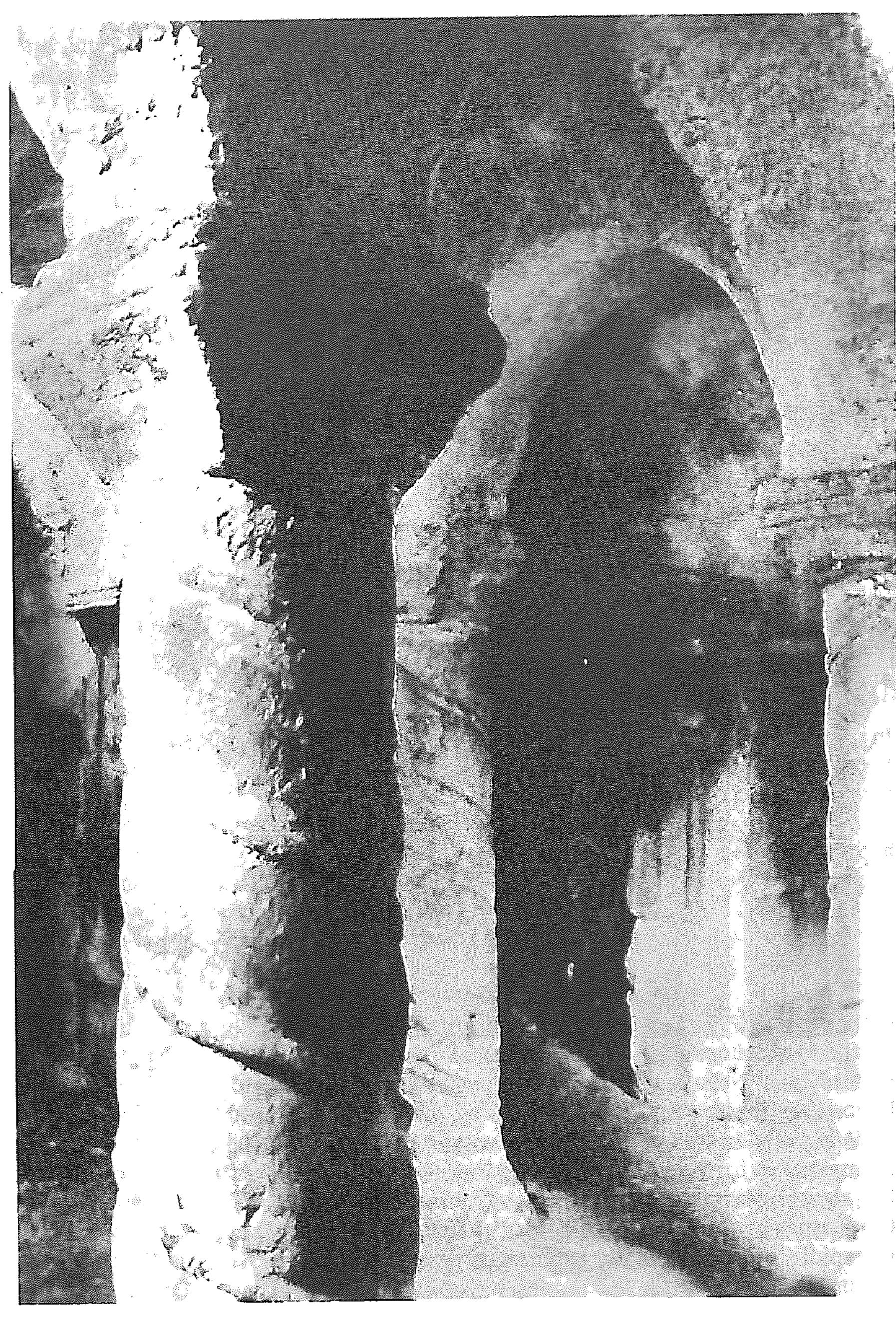 Repton crypt (national buildings record)