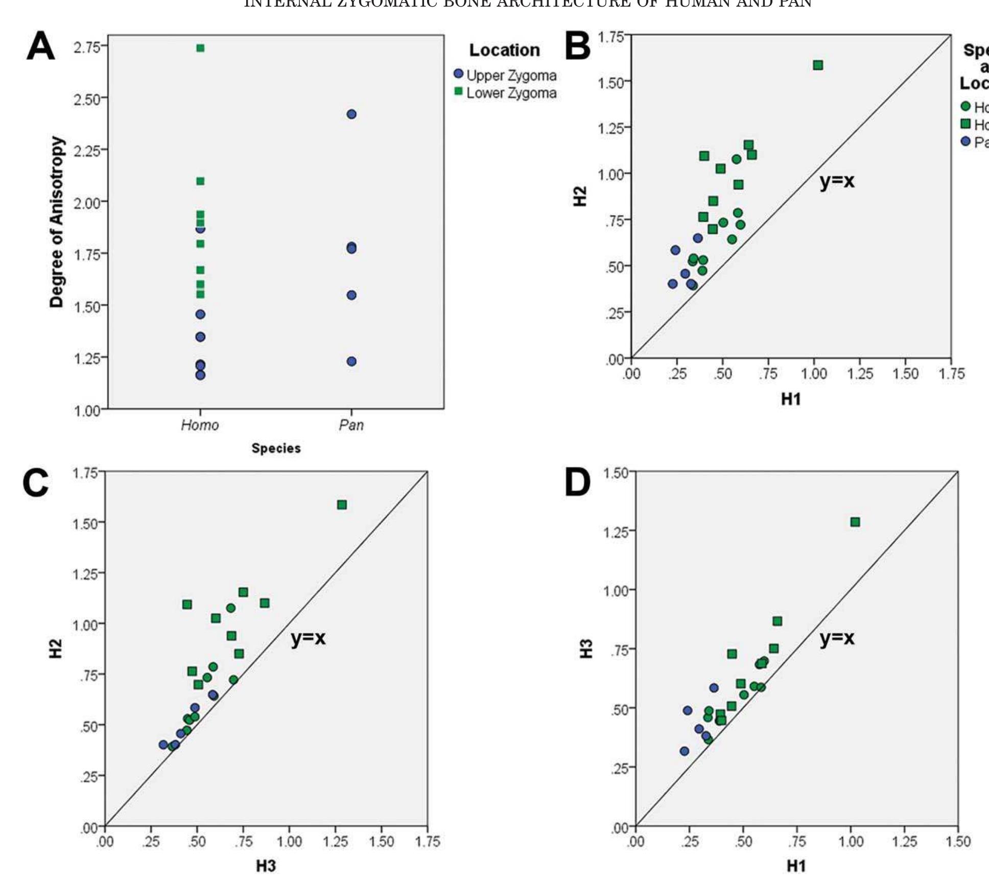 Tertiary (h1) vector of trabecular orientation (b), of the