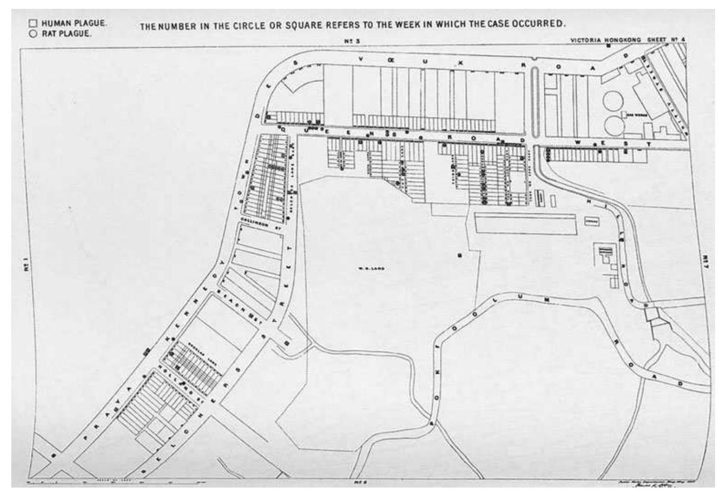 W. j. ritchie simpson, map of human and rat plague, report