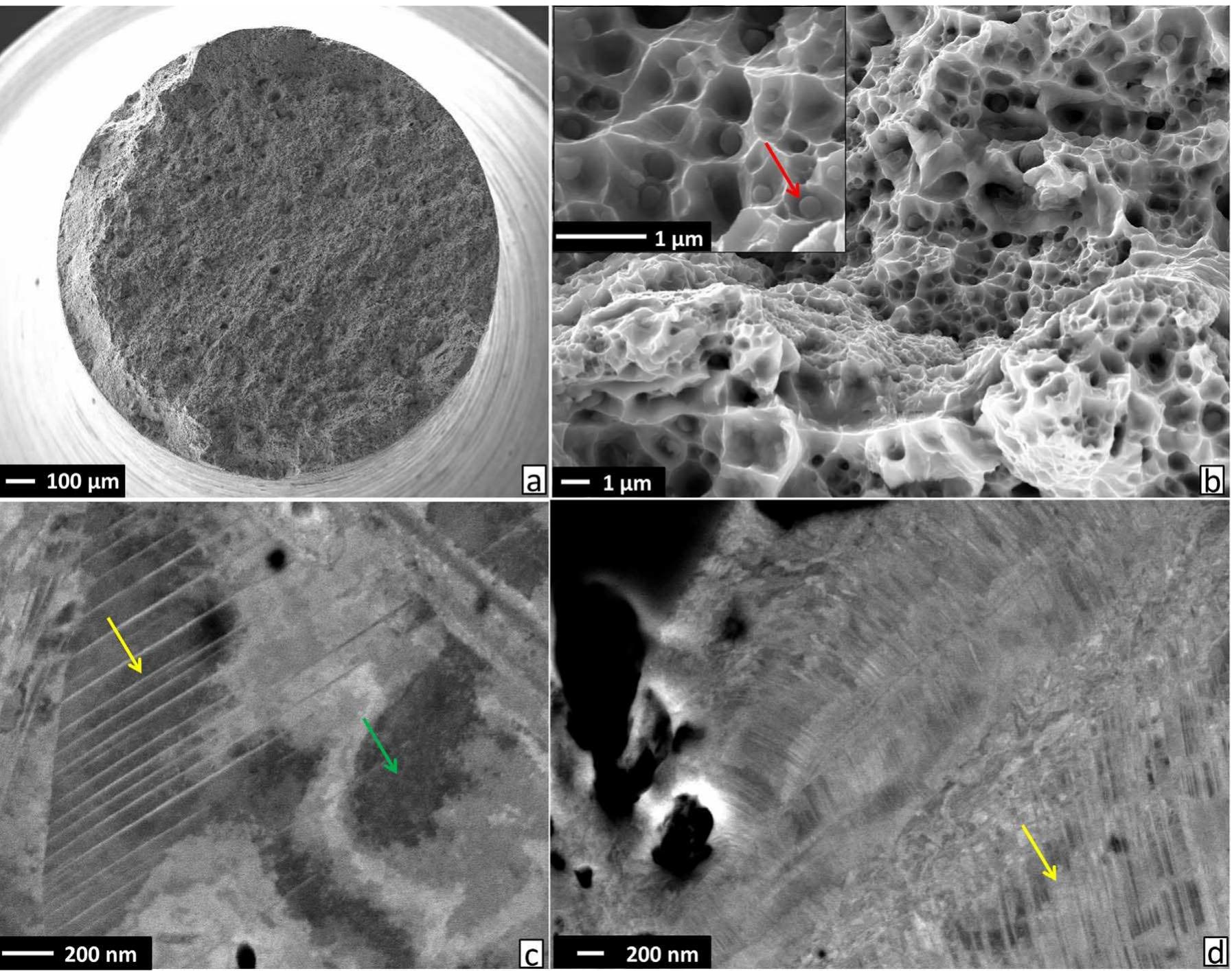 Sem micrographs of a) tensile test specimen fracture surface