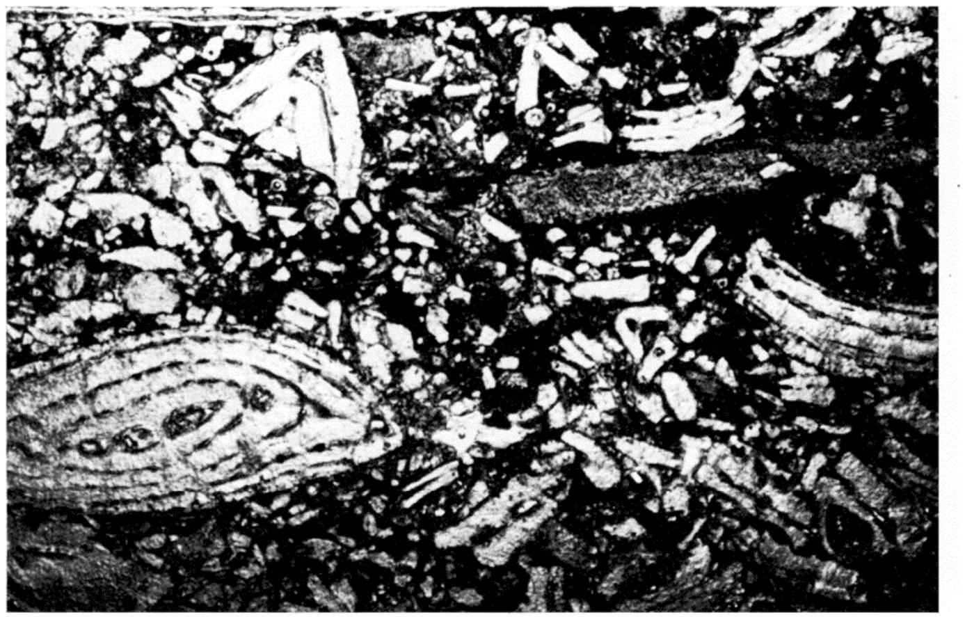 (PDF) STRATIGRAPHIC NOMENCLATURE OF THE SIRTE BASIN, LIBYA THE ...