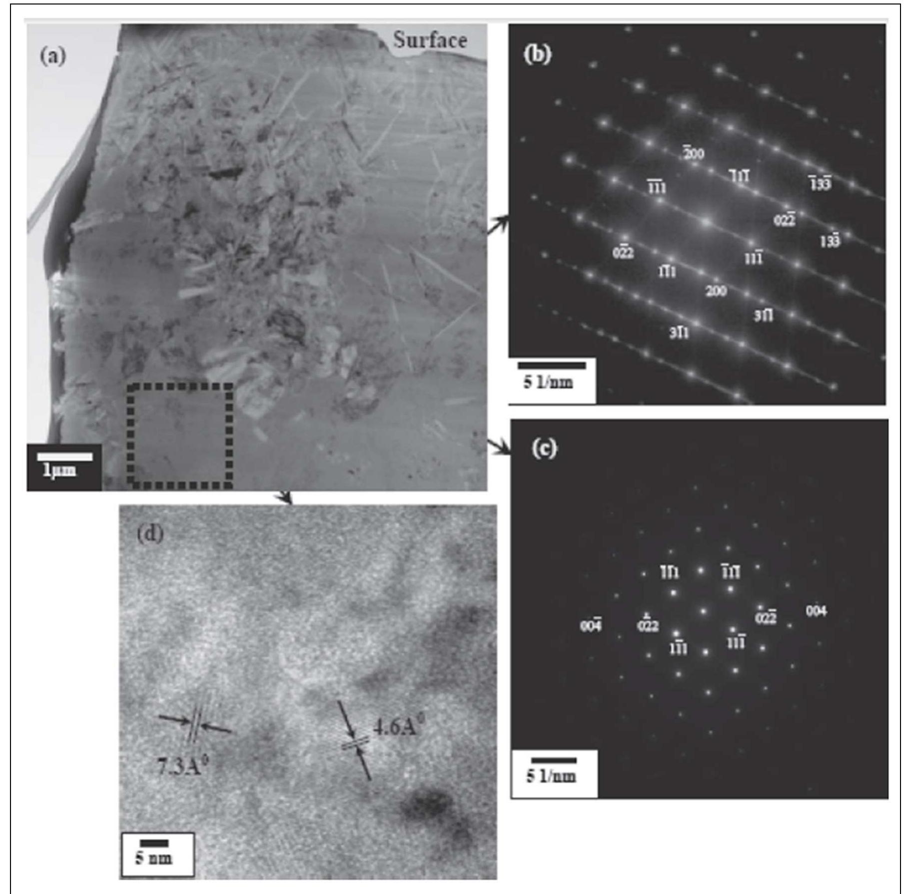 Tem images of the edaed surface at cross section showing (a)