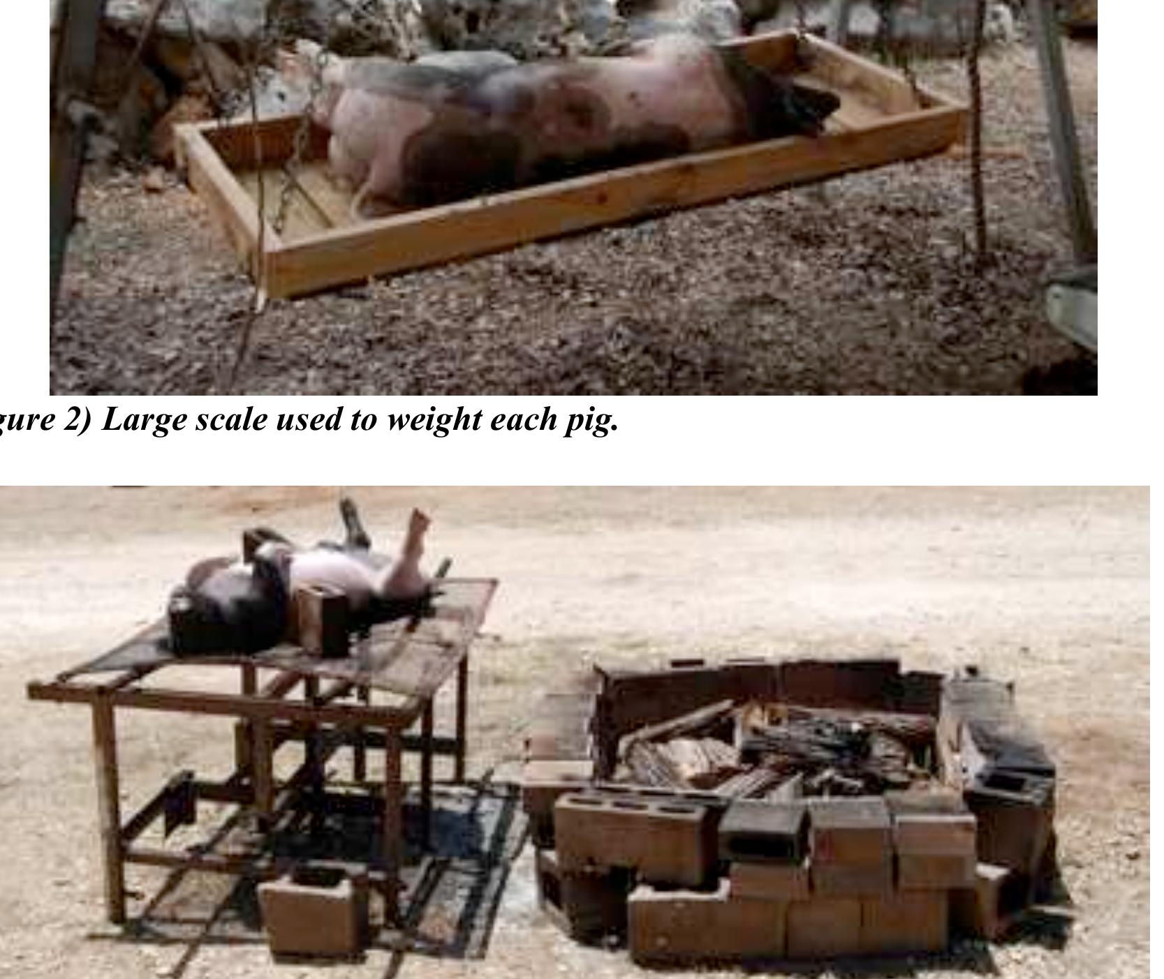 Figure 4 - The Effects of Fire Suppression Techniques on