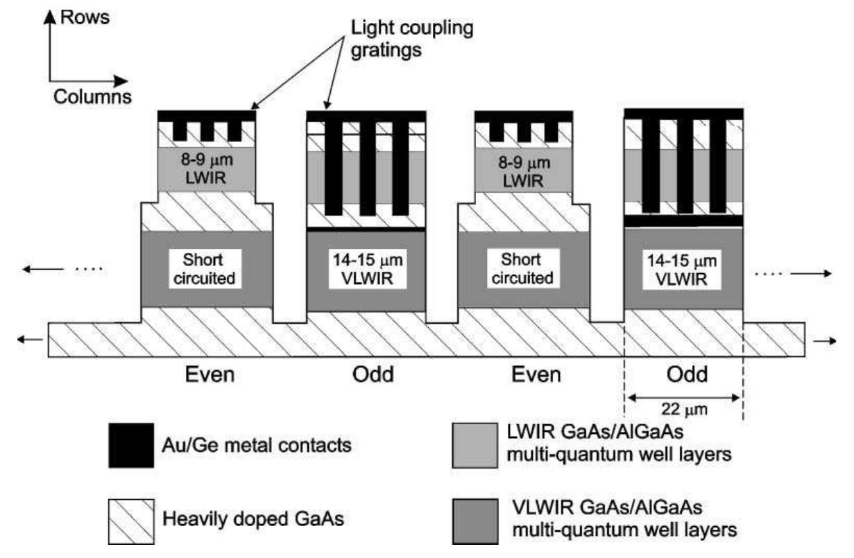 Structure cross-section of the interlace dual-band fpa