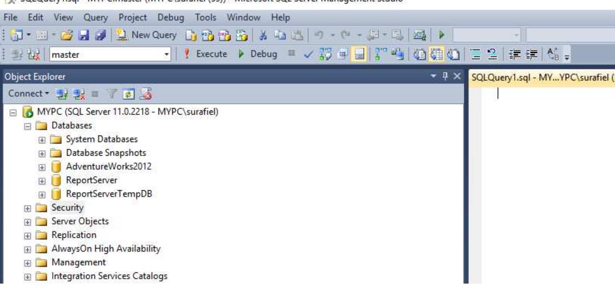 (PDF) Instructor's Manual for Practical/Laboratory Sessions in ...