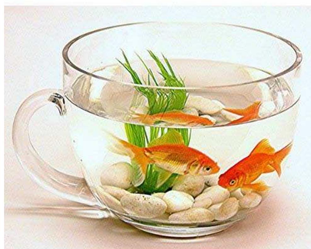 Figure 13 - Iceberg Theory of Leadership & Teamwork