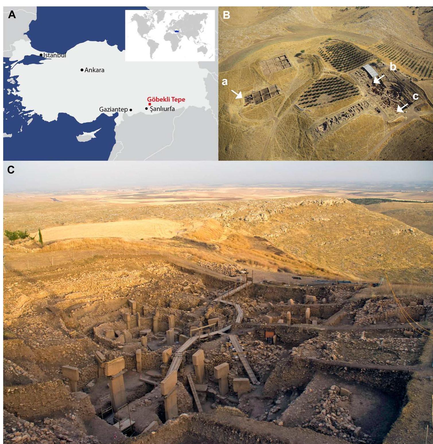 Figure 1 - from Modified human crania from Göbekli Tepe