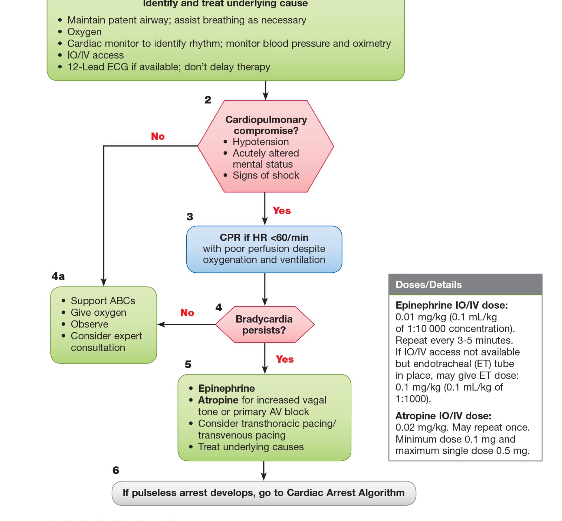Pediatric bradycardia with a pulse and poor perfusion