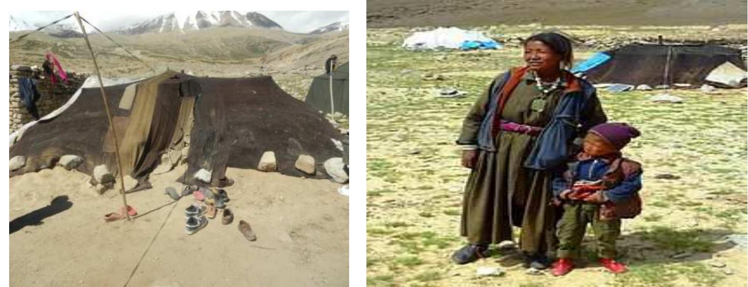 Figure 1 - from SOCIO-CULTURAL ENVIRONMENT OF CHANGPA NOMADS