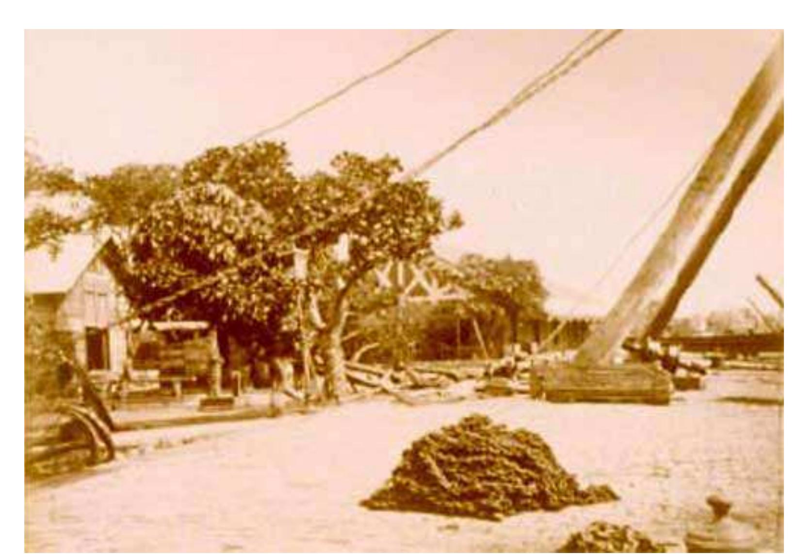 Figure 2 - from Modernizing the Colony: Ports in Colonial