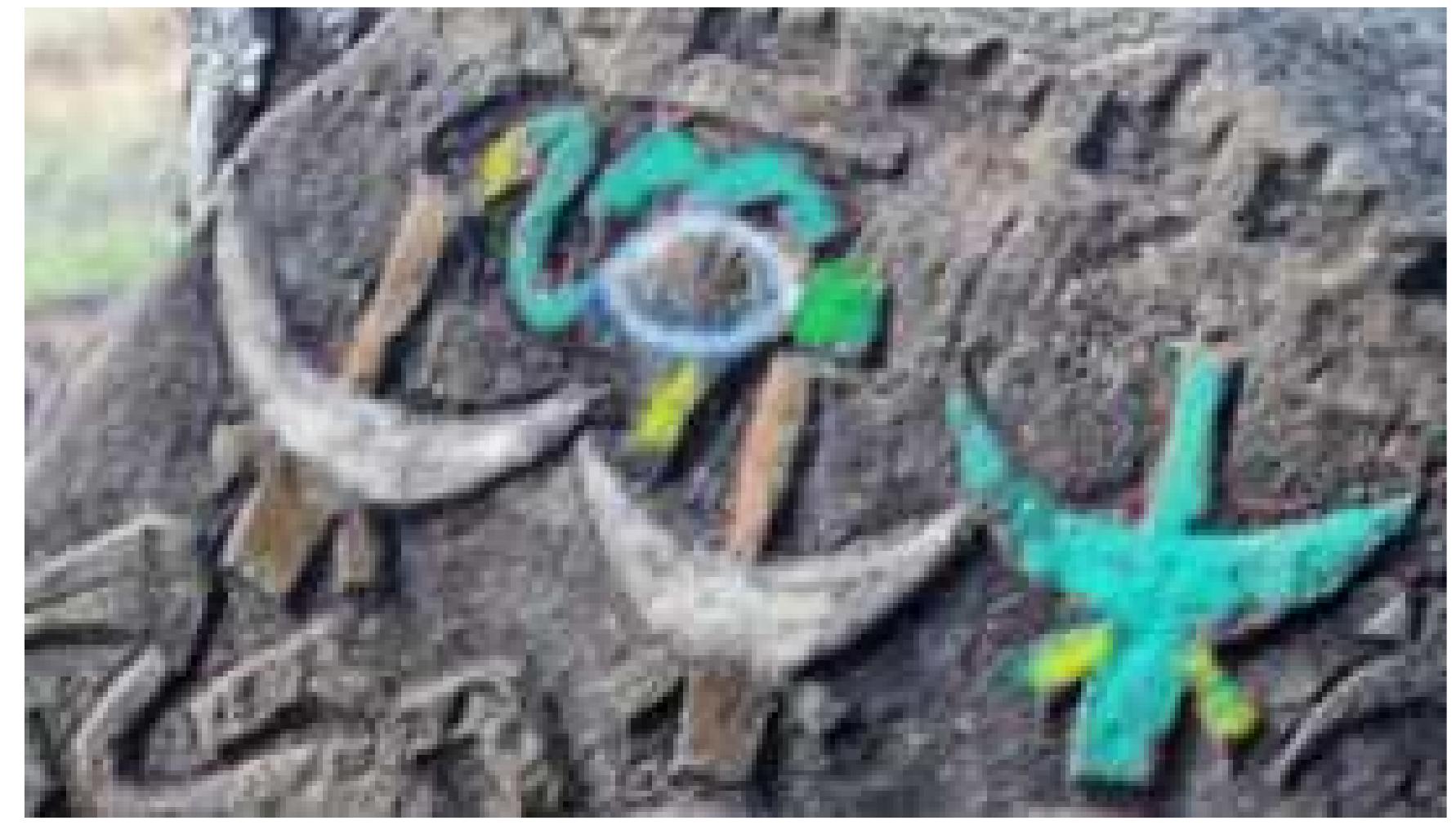 The above bull/bird combinations are examples of dual