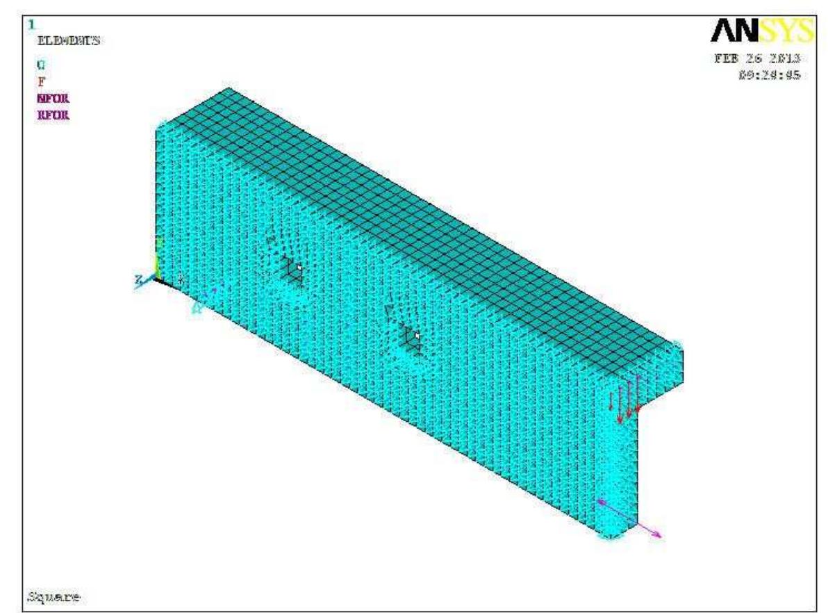 Finite Element Mesh Boundary Conditions And Loading Regions 0385