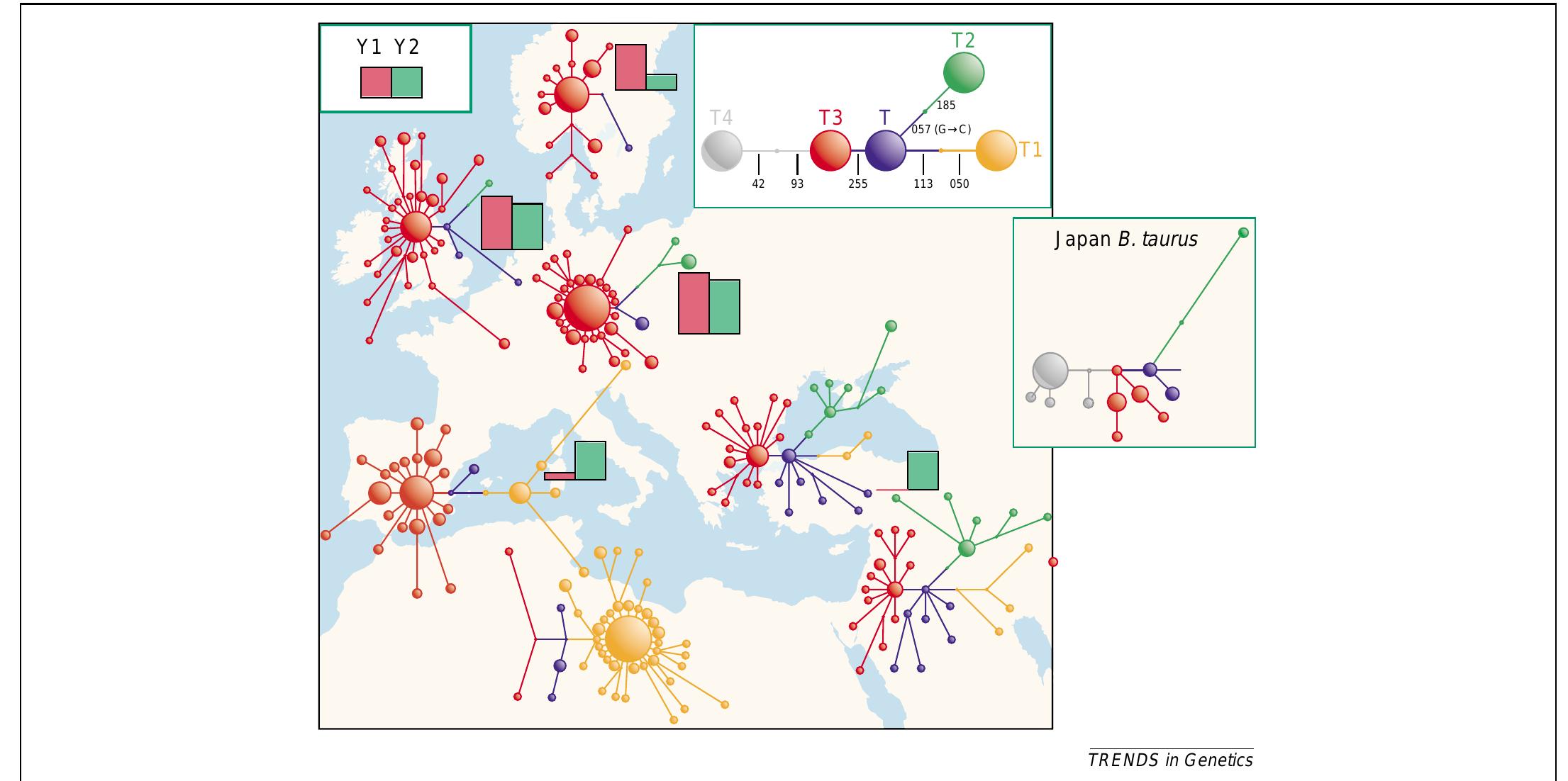 (PDF) Documenting domestication: The intersection of genetics and ...