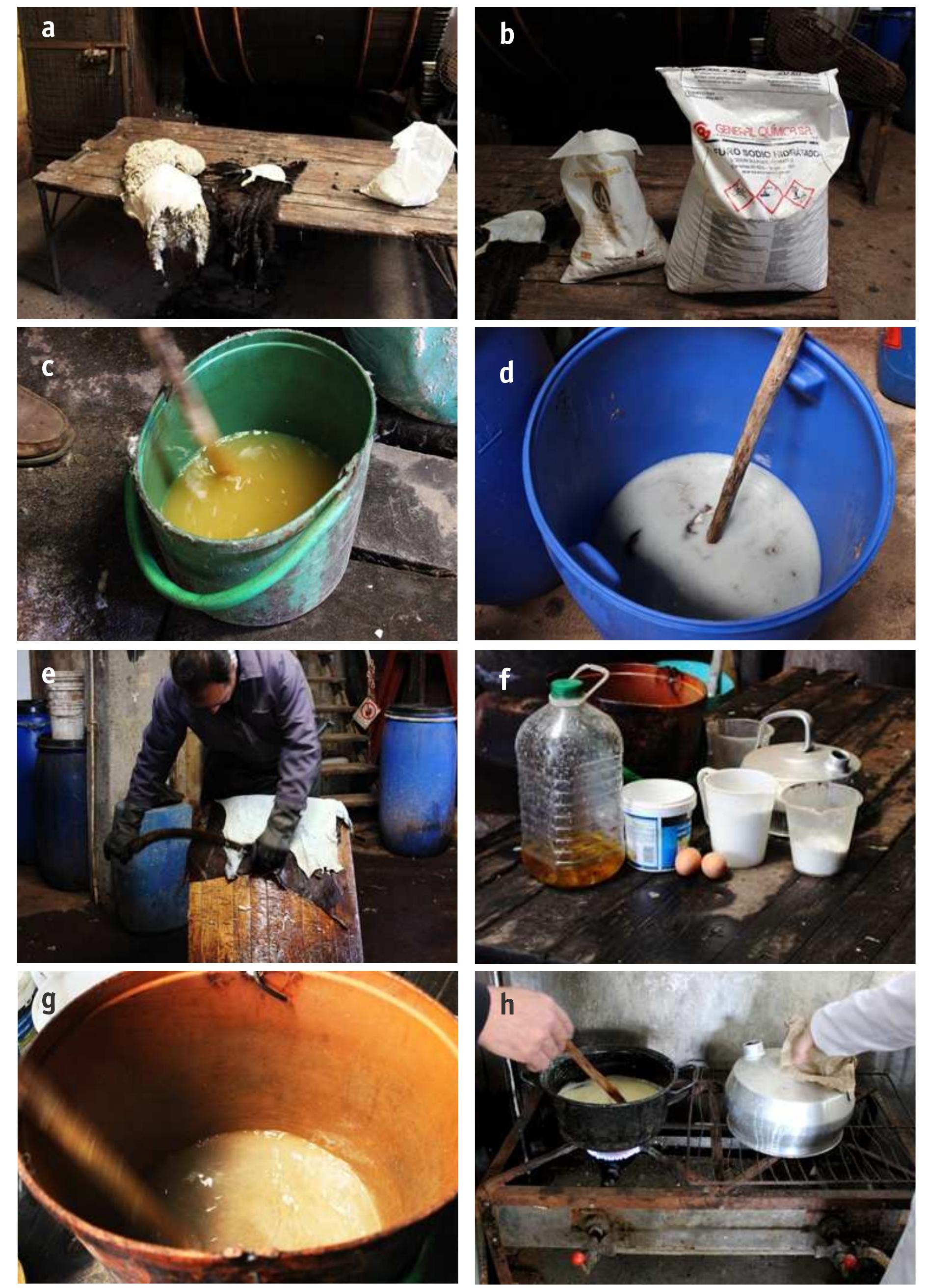 Main steps of the thawing procedure of two animal skins: a)