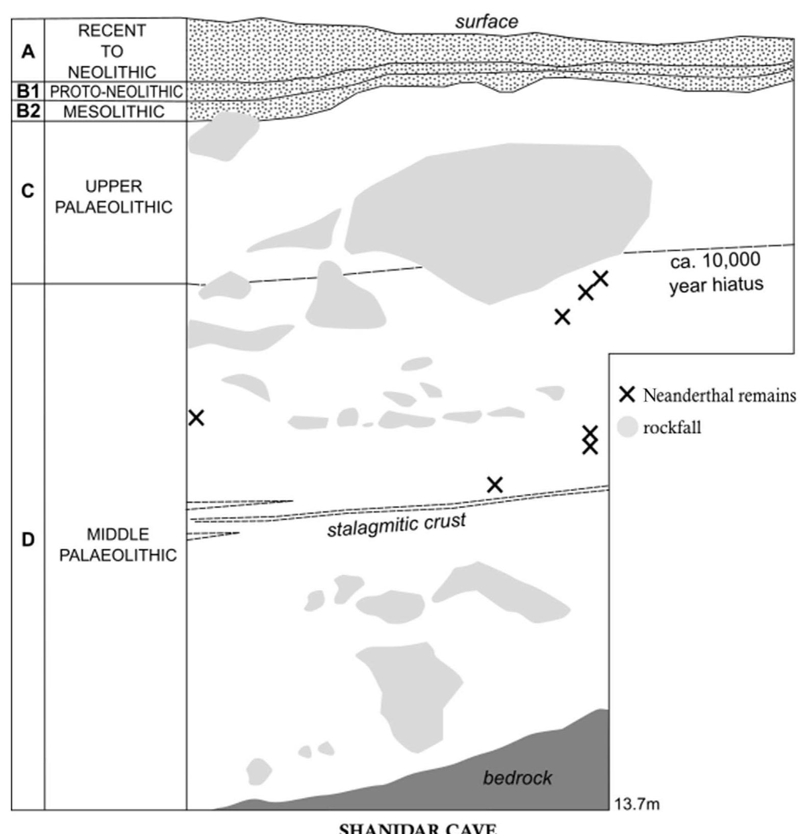 Schematic of the stratigraphy at shanidar cave (redrawn from
