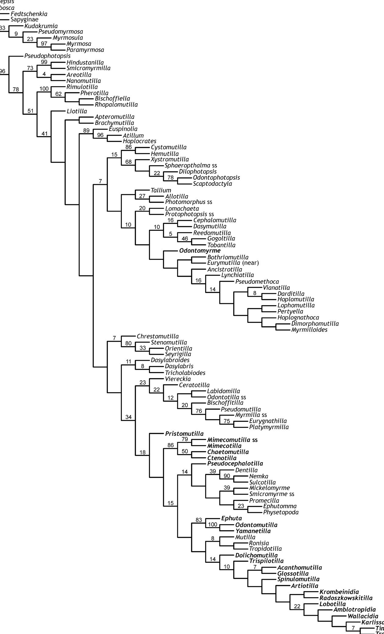 Single most-parsimonious tree (raw length = 2634, ci = 0.20,