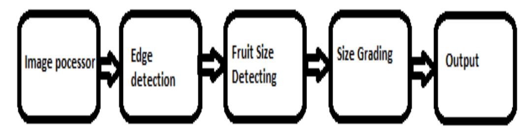 (5-1) fruit image size detection and grading