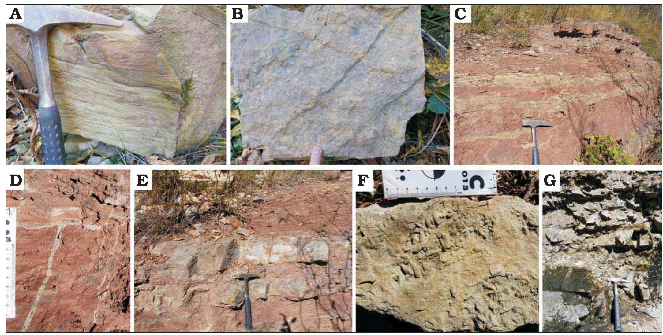 Sedimentary structures of val gardena sandstone. facies