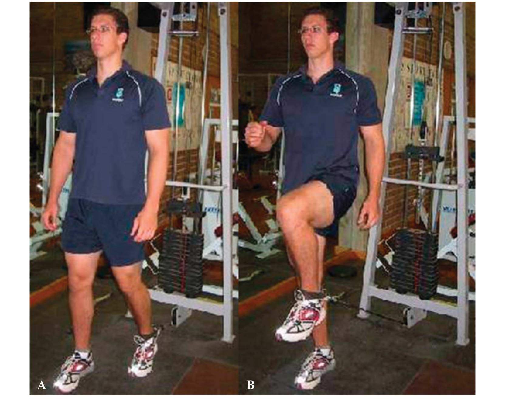 The cable hip flexion start (a) and top (b) position.