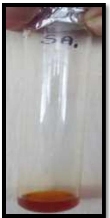 A:- confirmatory test for glycoside figure 5b:- confirmatory