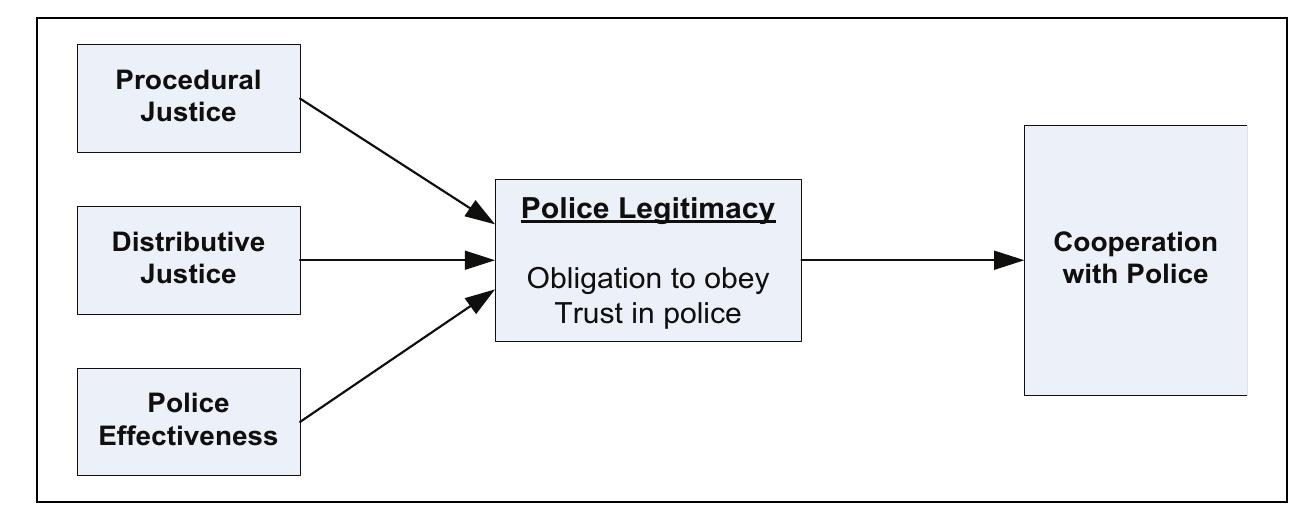 |. conceptual path diagram for tyler’s process-based model