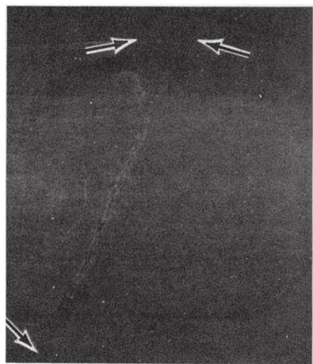 Inside surface of an austenitic stainless steel superheater
