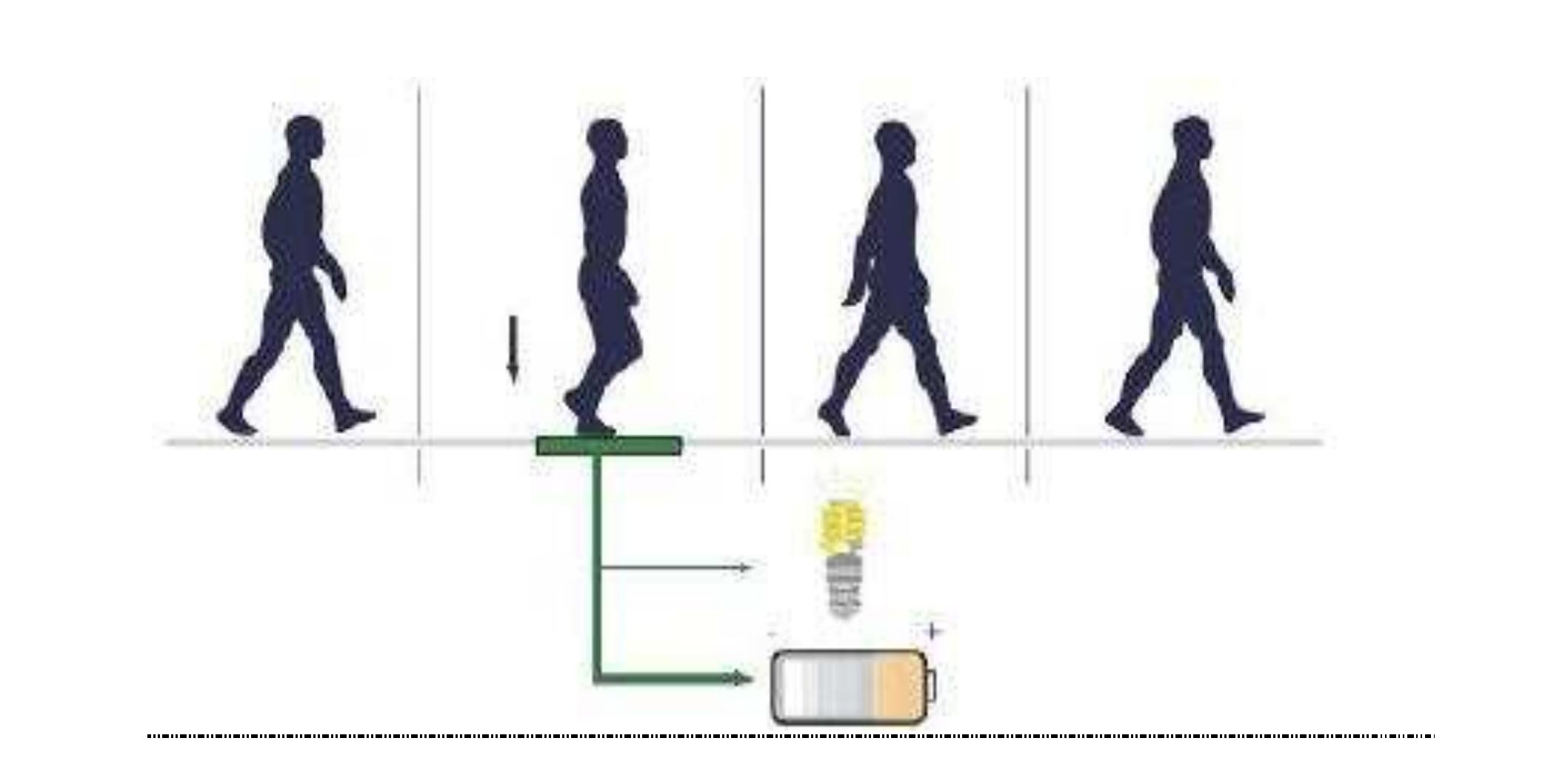 - schematic representation of the working model