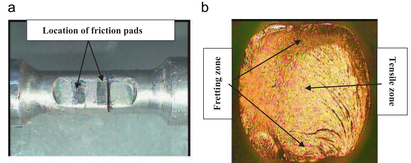 Fracture surface and cross-section view of uncoated