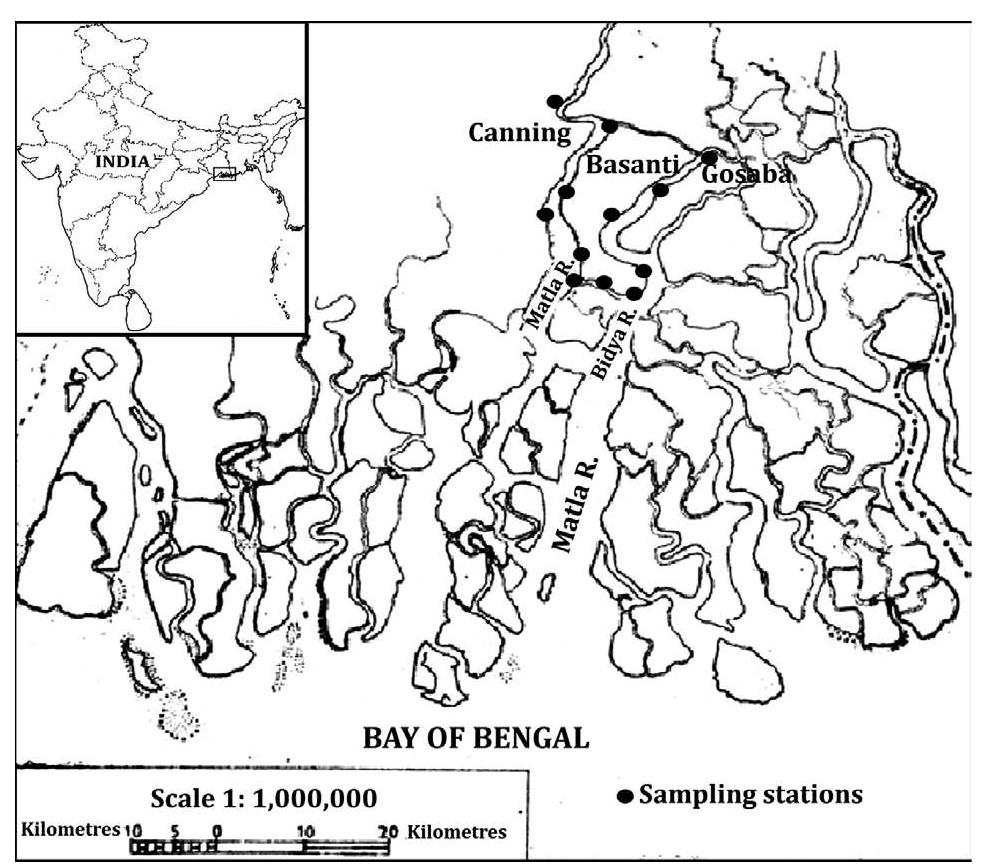 Fic. 1. — map of the indian sundarbans showing the locations